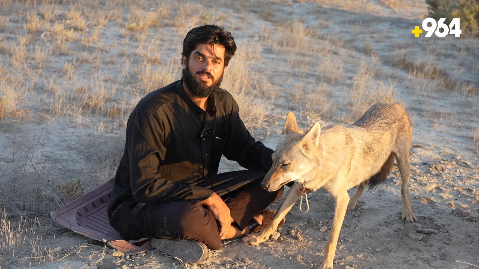 Wild companions: Al-Maliki’s drive to tame the untamable » 964media