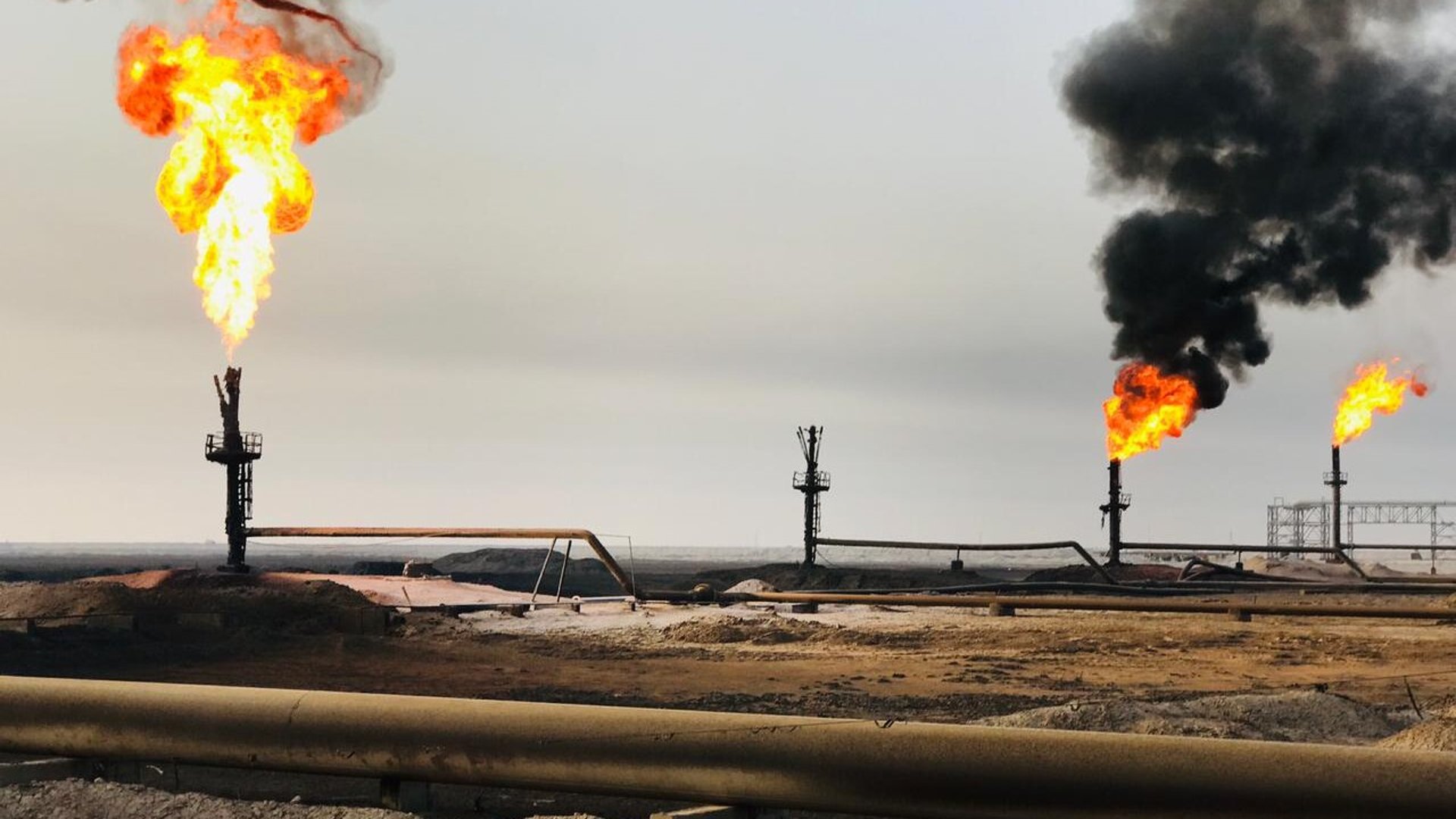 خروج الإمارات من أوبك قد يزيد من حصة العراق.. خبير اقتصادي