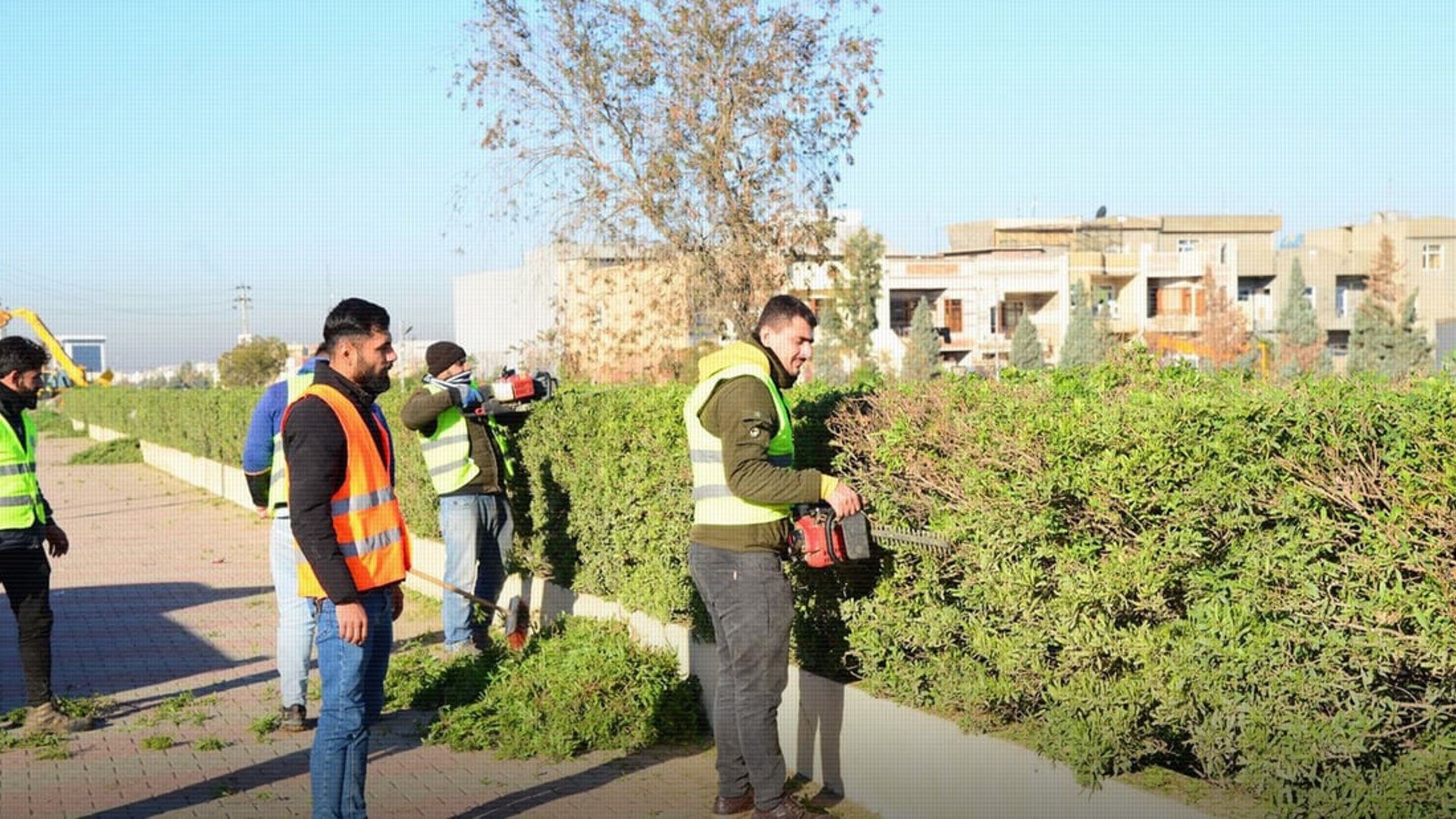 Erbil undertakes tree pruning in parks and gardens » 964media
