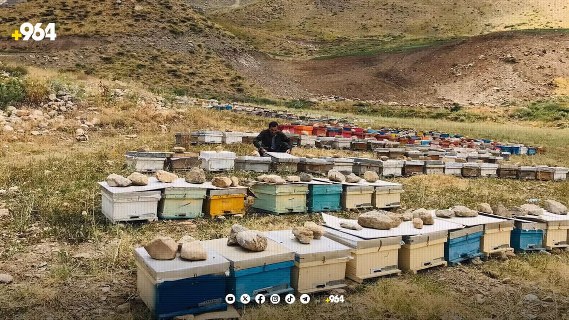 Kurdistan’s beekeepers advocate for import restrictions » 964media
