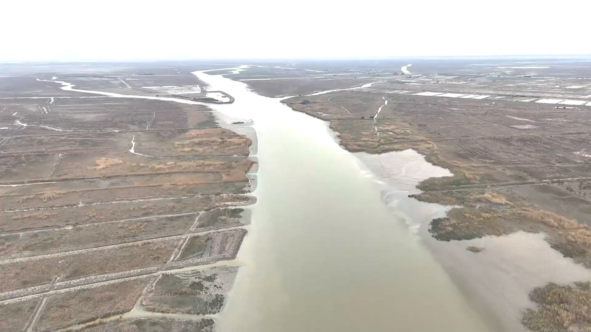 Basra’s resilient marshes draw visitors despite decades of ...