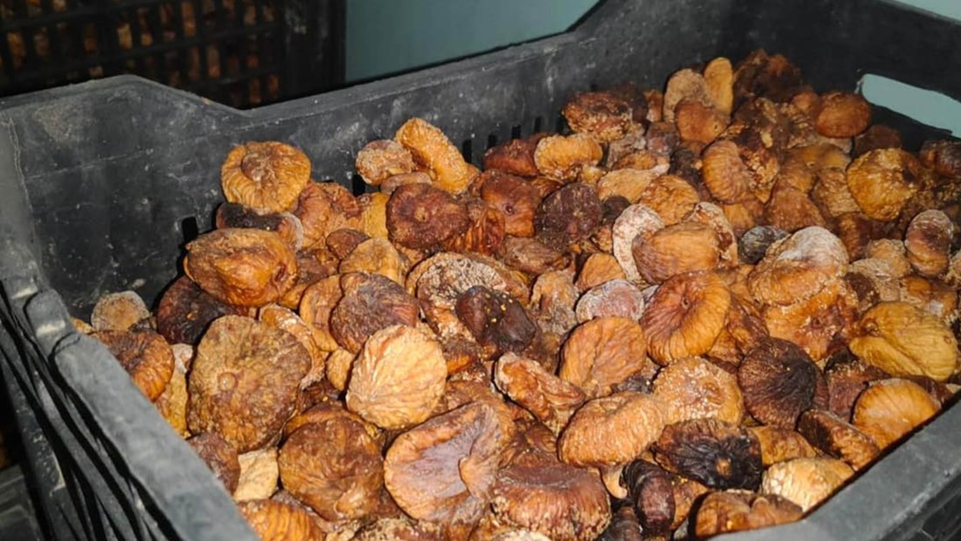 10 tons of spoiled dried figs seized in Erbil » 964media