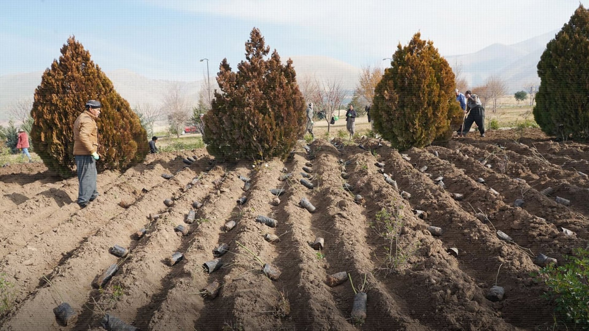 Revitalization of Hawari Shar Park with Extensive Greenery » 964media