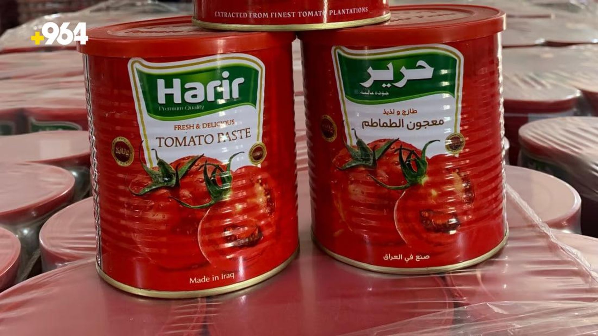 Harir tomato factory in northern Erbil exporting tomato paste to the U ...