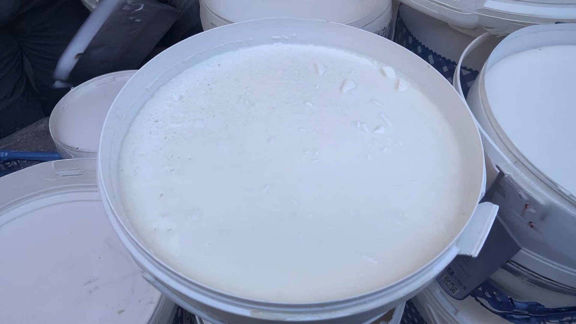 Authorities seize over 300 kg of expired yogurt in Sulaymaniyah » 964media