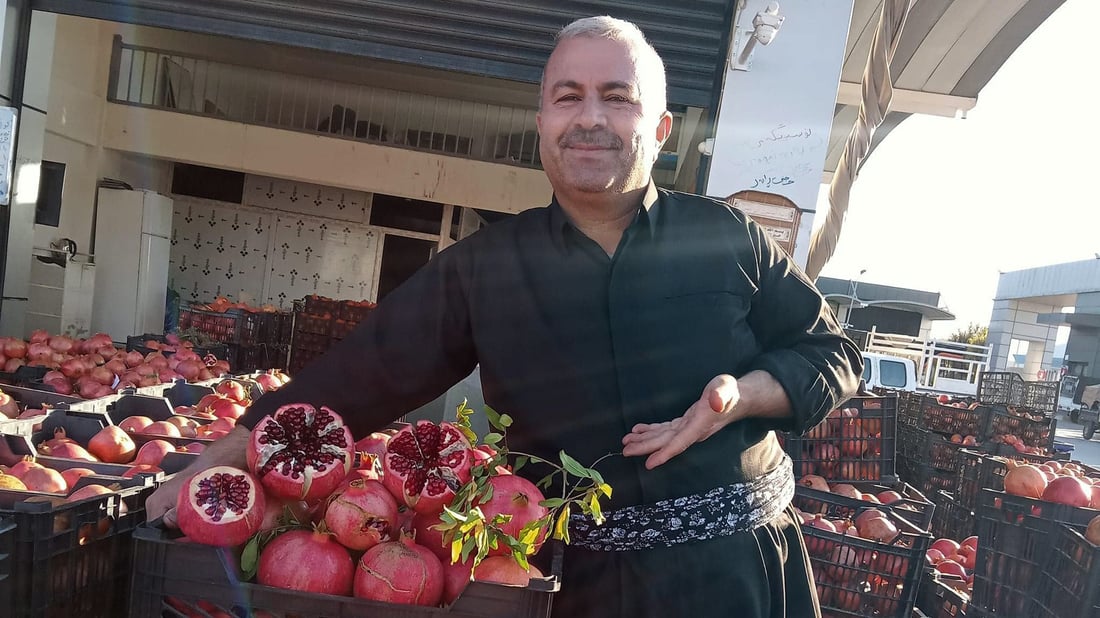Halabja’s iconic Salahkani pomegranates reach Kurdistan Region and ...