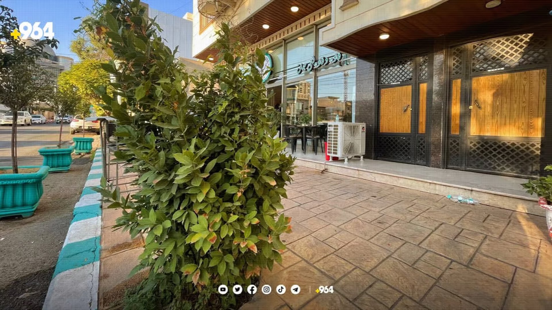 Sulaymaniyah implements tree planting requirement for commercial ...