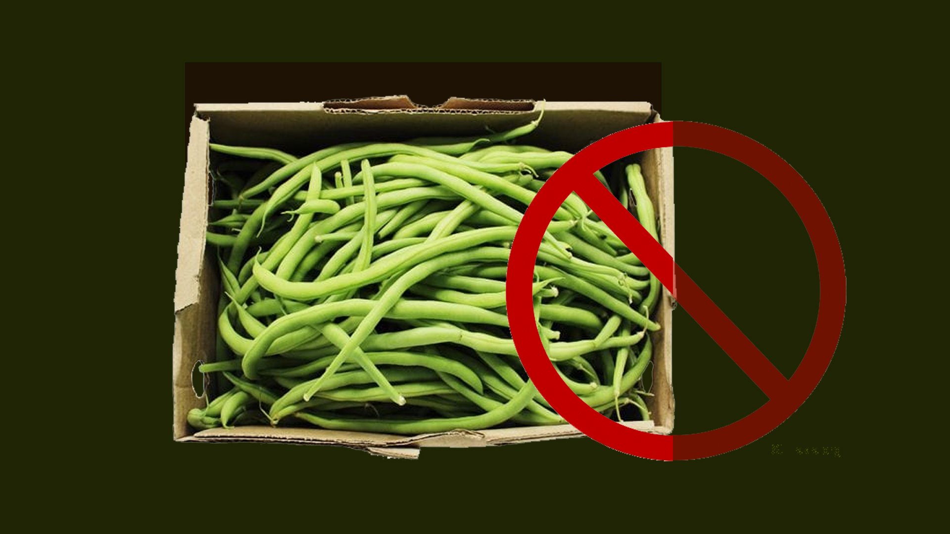 Toxic beans suspected in Kurdistan Region as authorities seize four ...