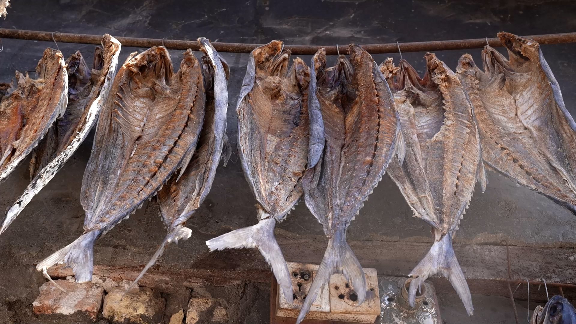 Dried fish prices surge in Basra ahead of Ramadan » 964media