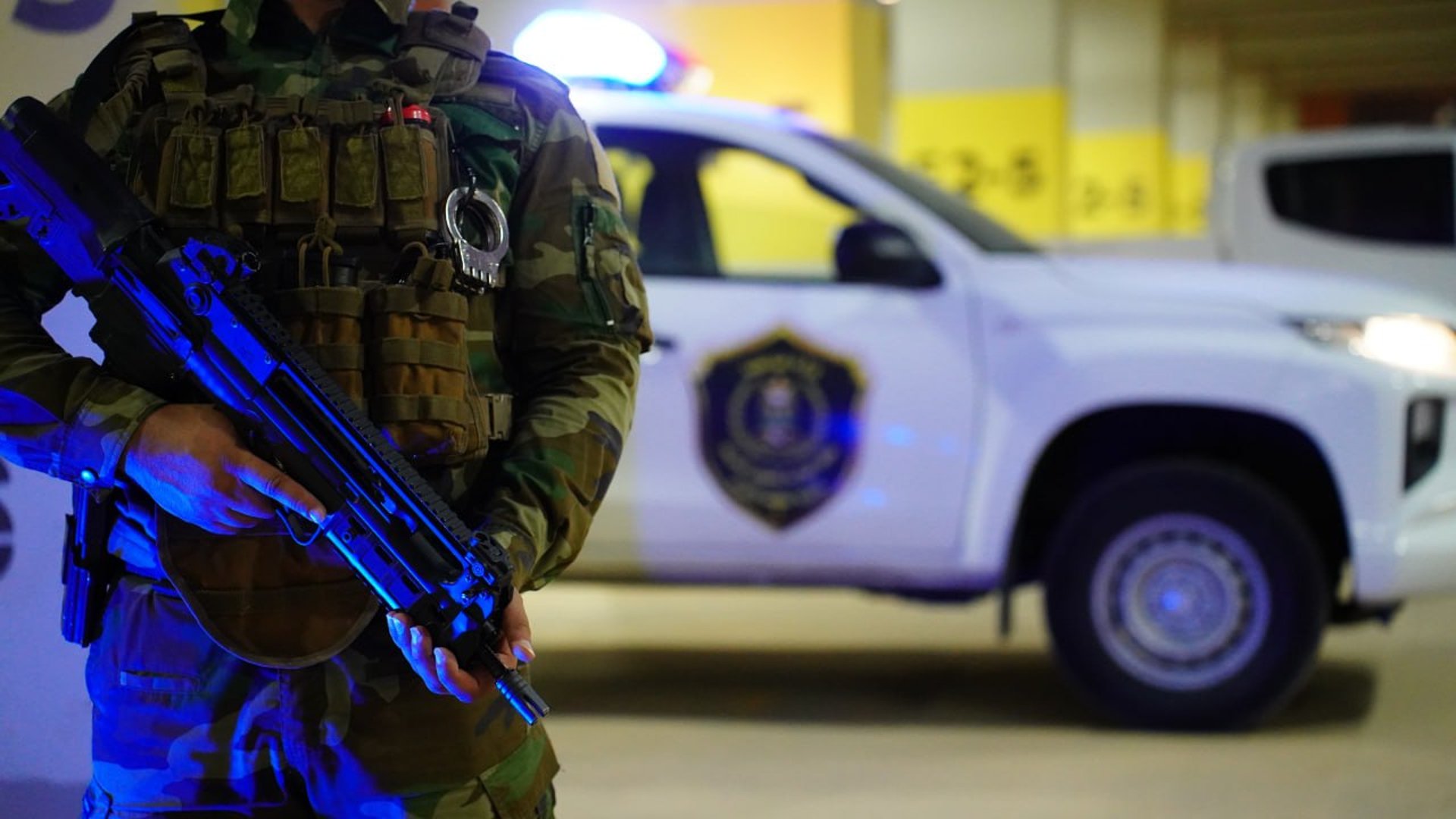 Baghdad Crime Directorate busts criminal gang involved in assault ...