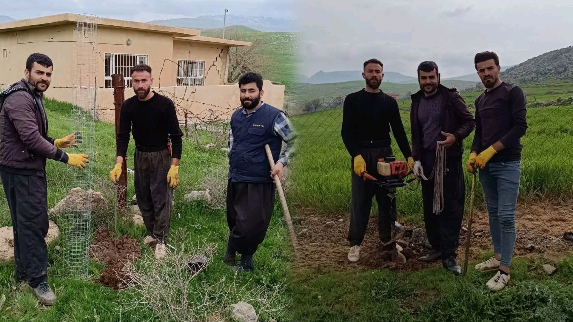 هاوڵاتیانی گوندی هەنجیرە خۆبەخشانە سەدان داریان چاند » +964